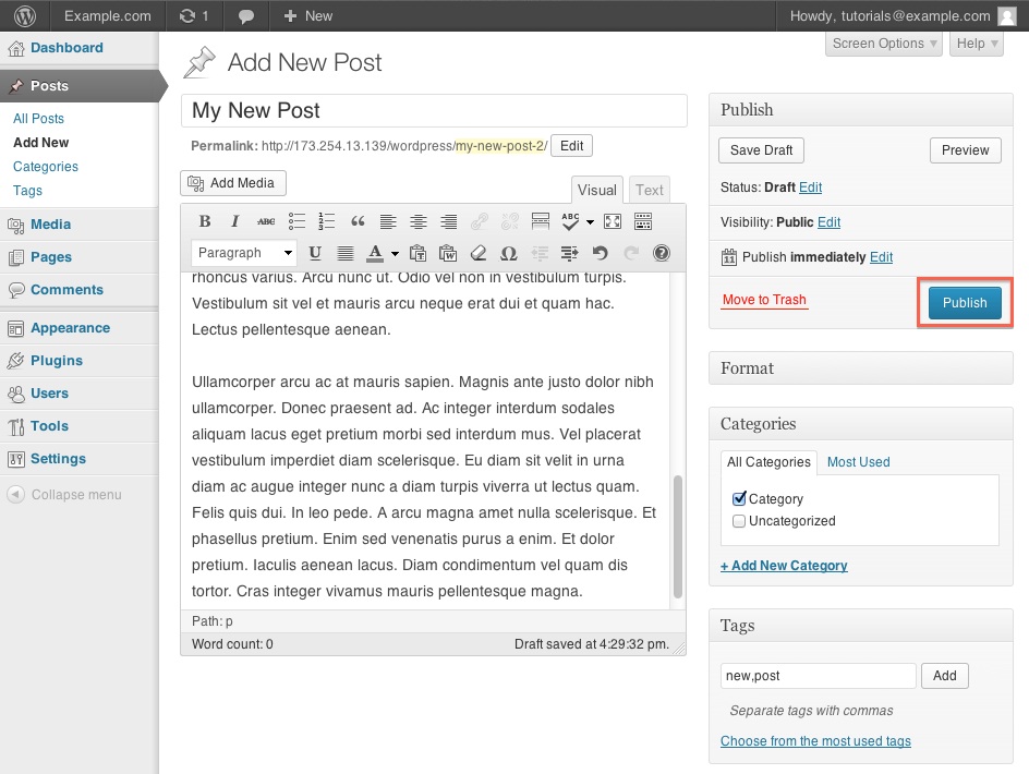 WordPress Creating Editing Removing posts